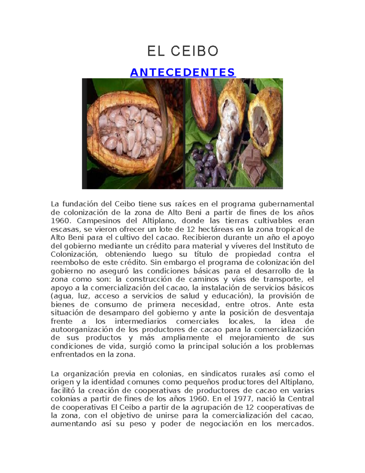 Historia y Evolución de El Ceibo en Alto Beni, Bolivia - Studocu