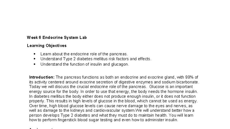 W6 Endocrine System Lab: Pancreas & Diabetes Insights - Studocu