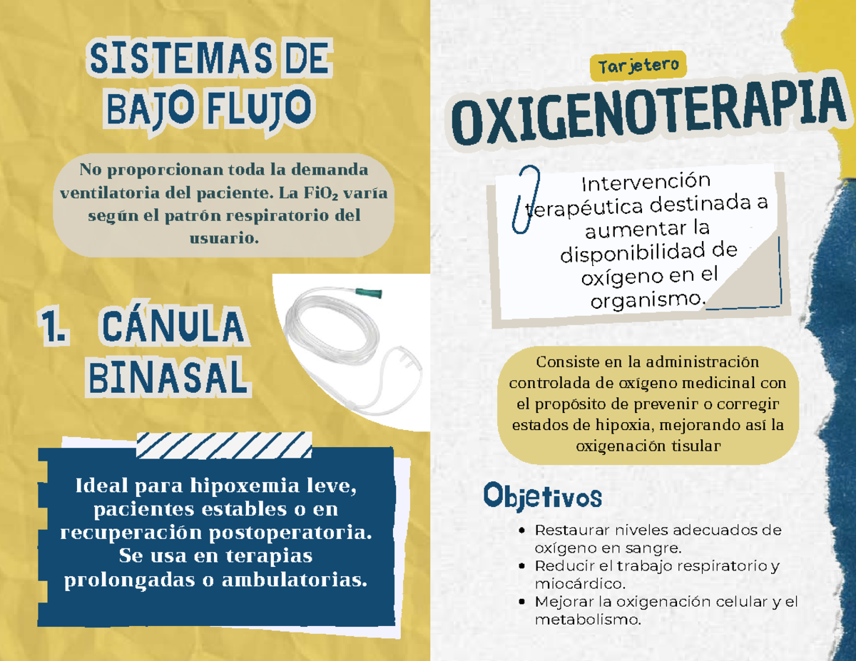 SISTEMAS DE BAJO FLUJO: Guía de Oxigenoterapia y Cuidados de Enfermería ...