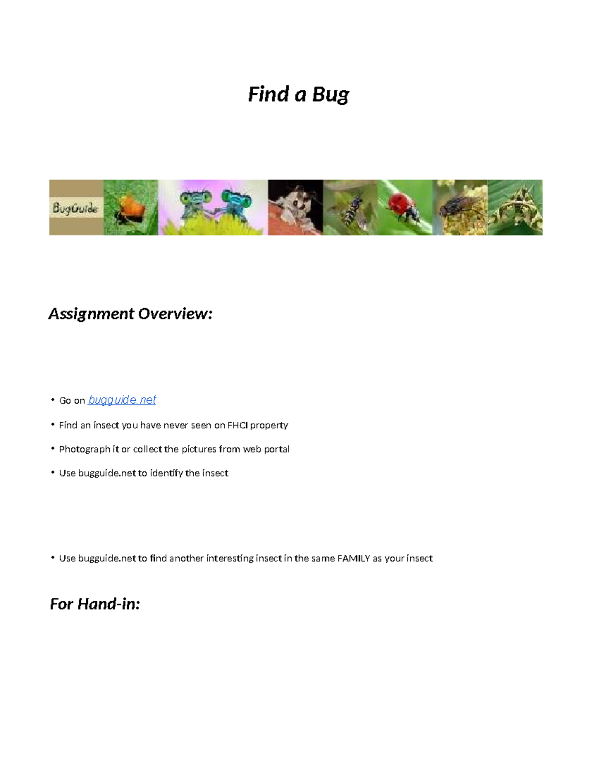 Unit 1 - Activity 17: Insect Identification & Diversity Project - Studocu