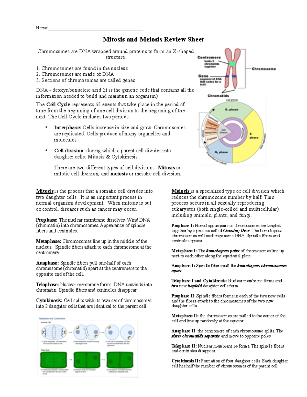 Mitosis & Meiosis Review Notes for Biology 101 Final Exam - Studocu