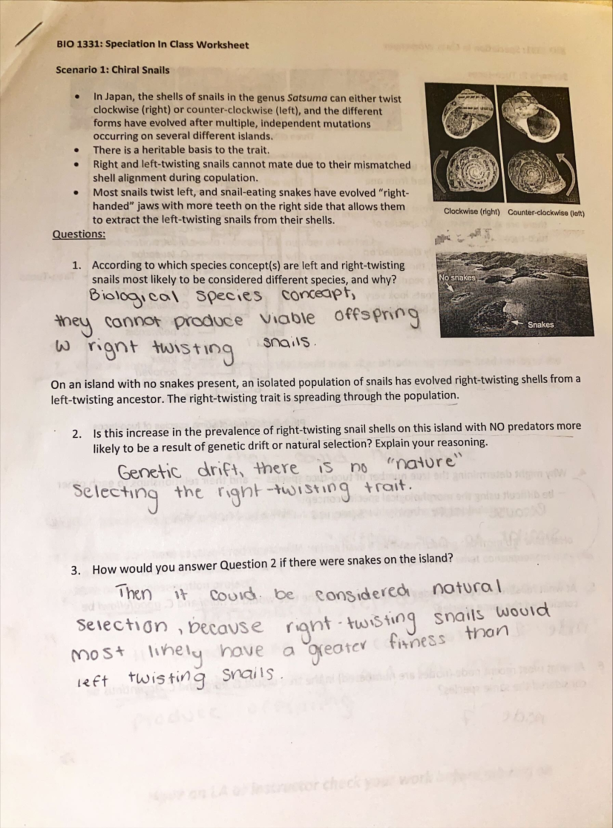 BIO 1331: Speciation In-Class Worksheet & Concepts Overview - Studocu