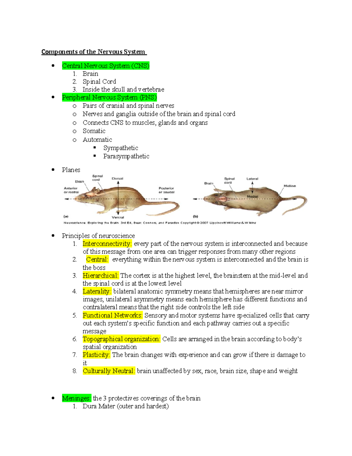 Study guide -Components of nervous system -Principles of neuroscience ...