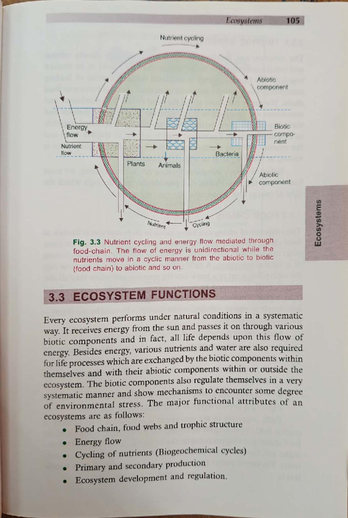 Ecosystems 105: Nutrient Cycling and Food Chain Dynamics - Studocu