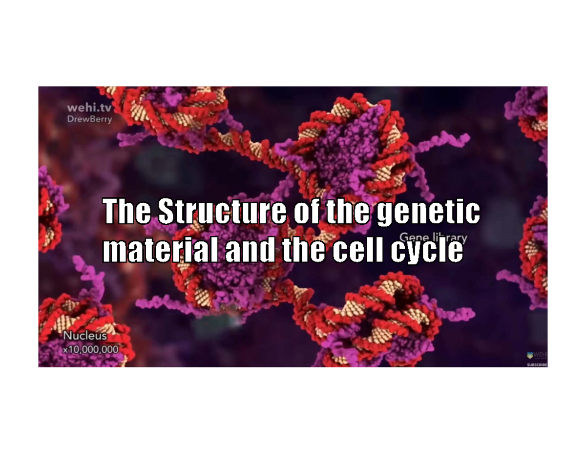 DNA Structure and Cell Cycle Overview - Lecture Notes (2025) - Studocu