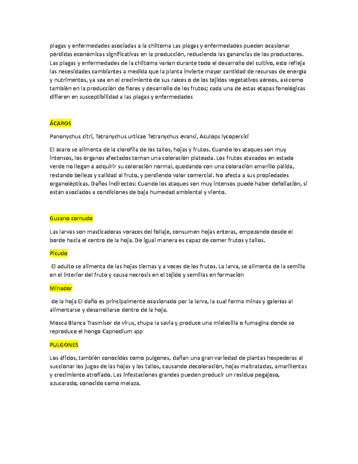 Plagas y Enfermedades en el Cultivo de Chiltoma: Impacto y Gestión ...
