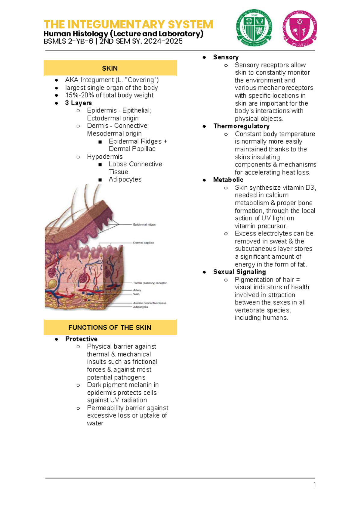 The Integumentary System: Human Histology (Lecture & BSMLS 2ND SEM ...