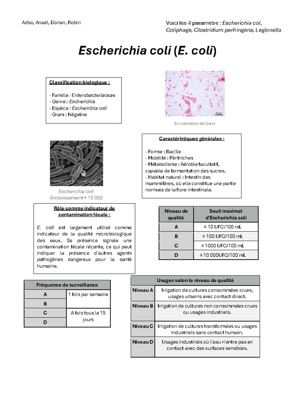 E. coli Classification & Quality Indicators - SAE 5.1 - Studocu