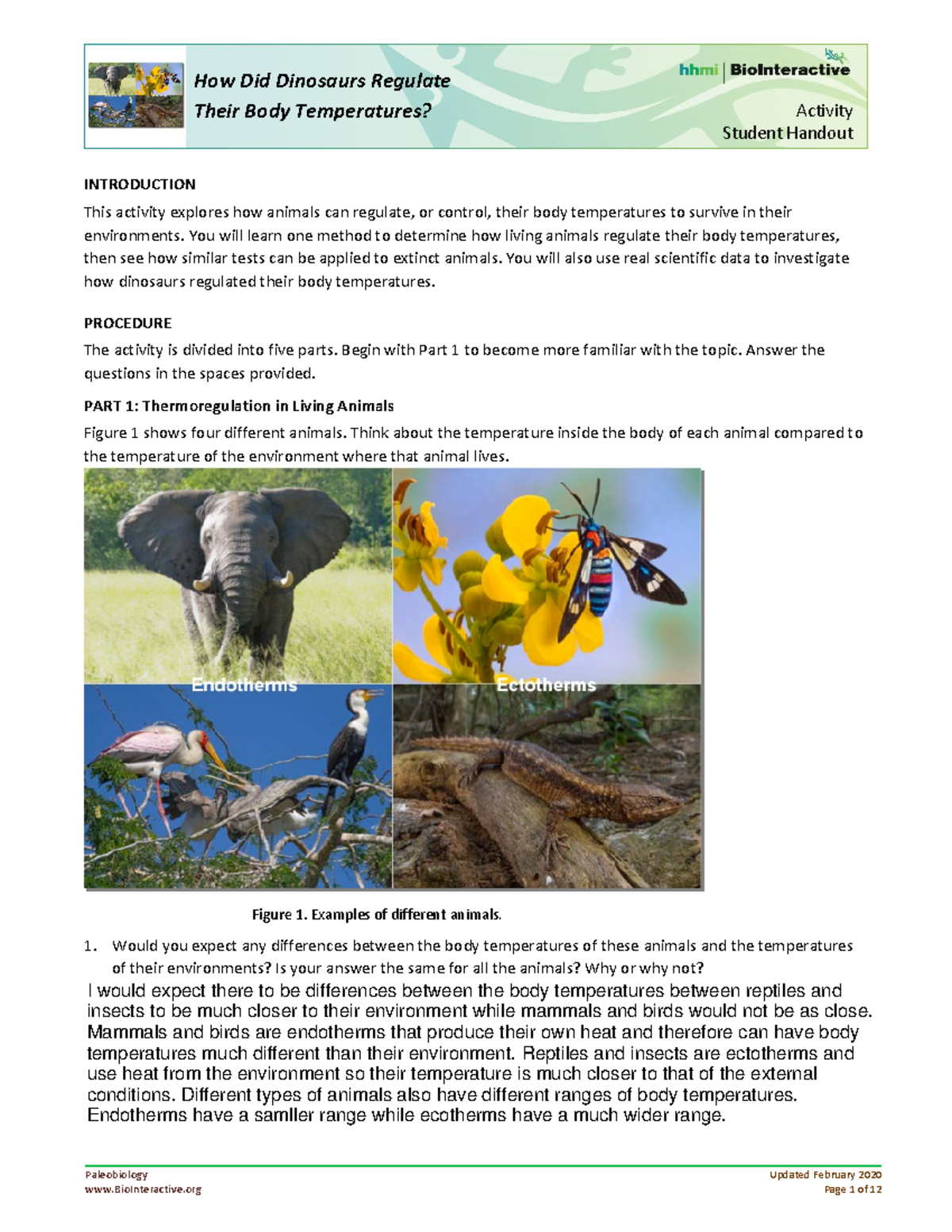 Dinosaur Thermoregulation Lab: Investigating Metabolic Rates and ...