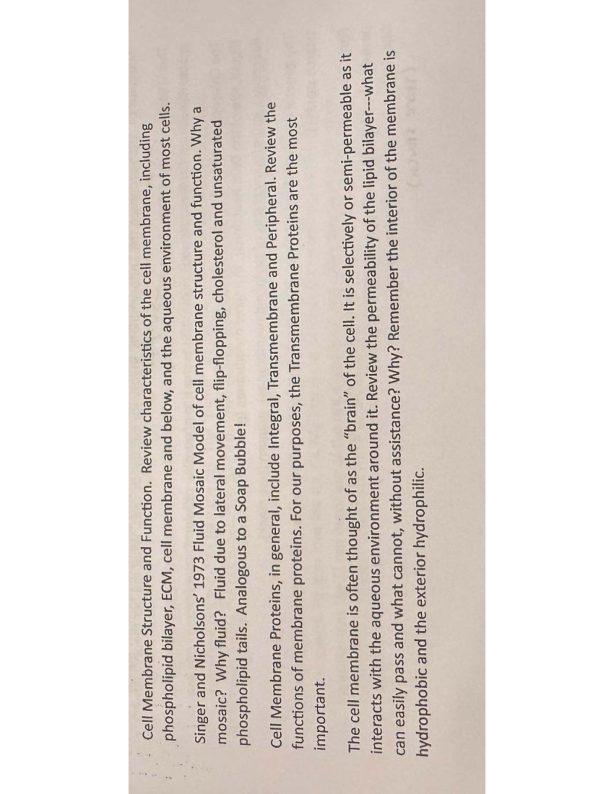 Cell Membrane Structure & Function: A Comprehensive Overview - Studocu