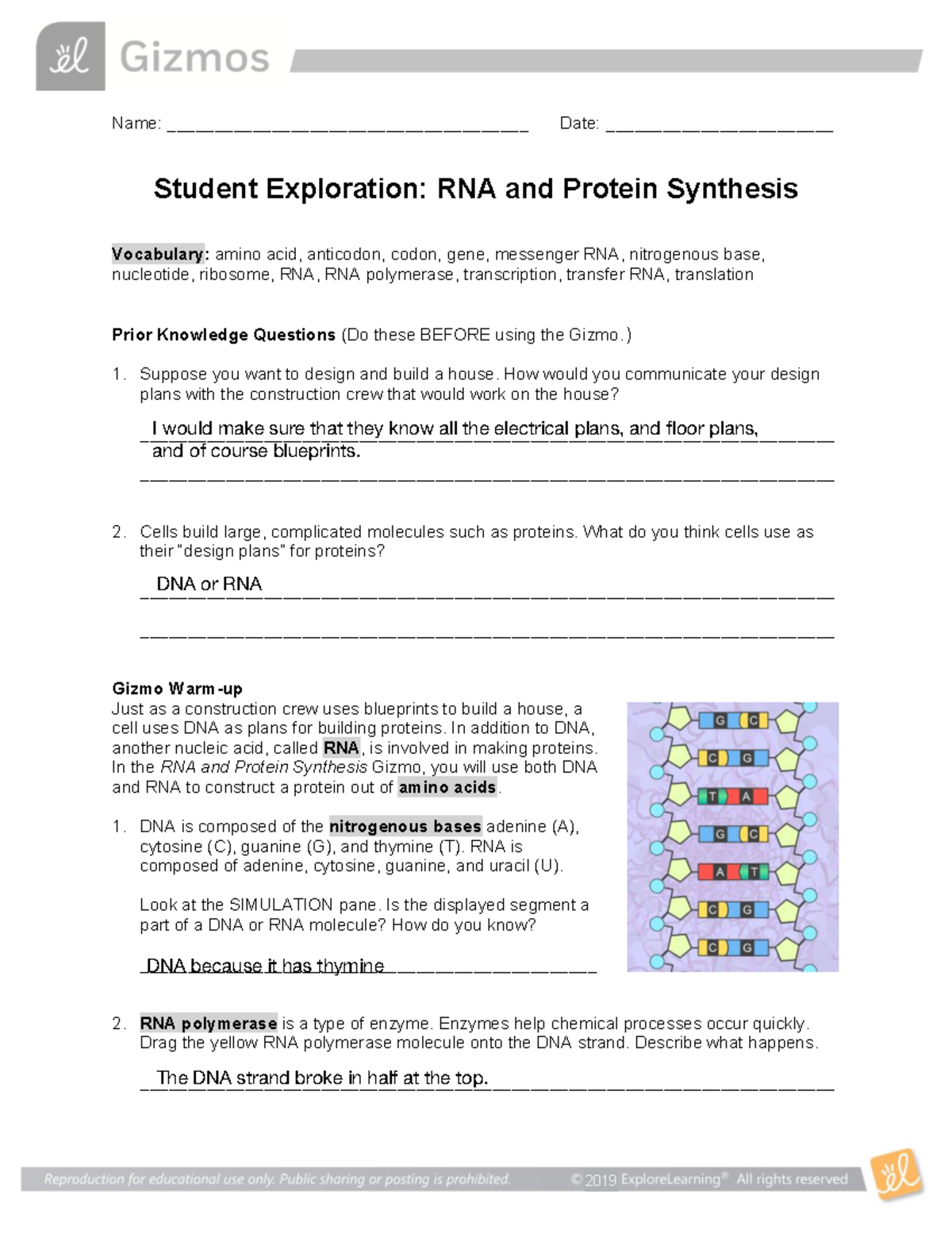 RNA and Protein Synthesis SE: Exploring Transcription & Translation ...