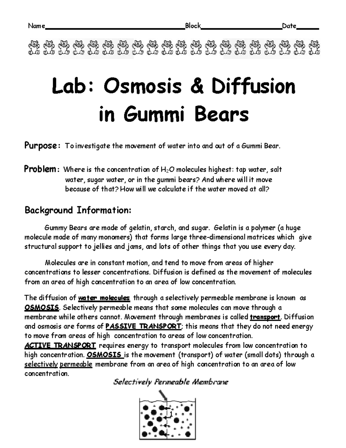Lab Report: Osmosis & Diffusion in Gummy Bears (Biology 101) - Studocu