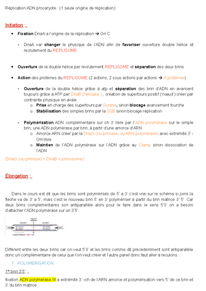 Tableau des Muscles du Membre Inférieur - Anatomie et Fonctions - Studocu