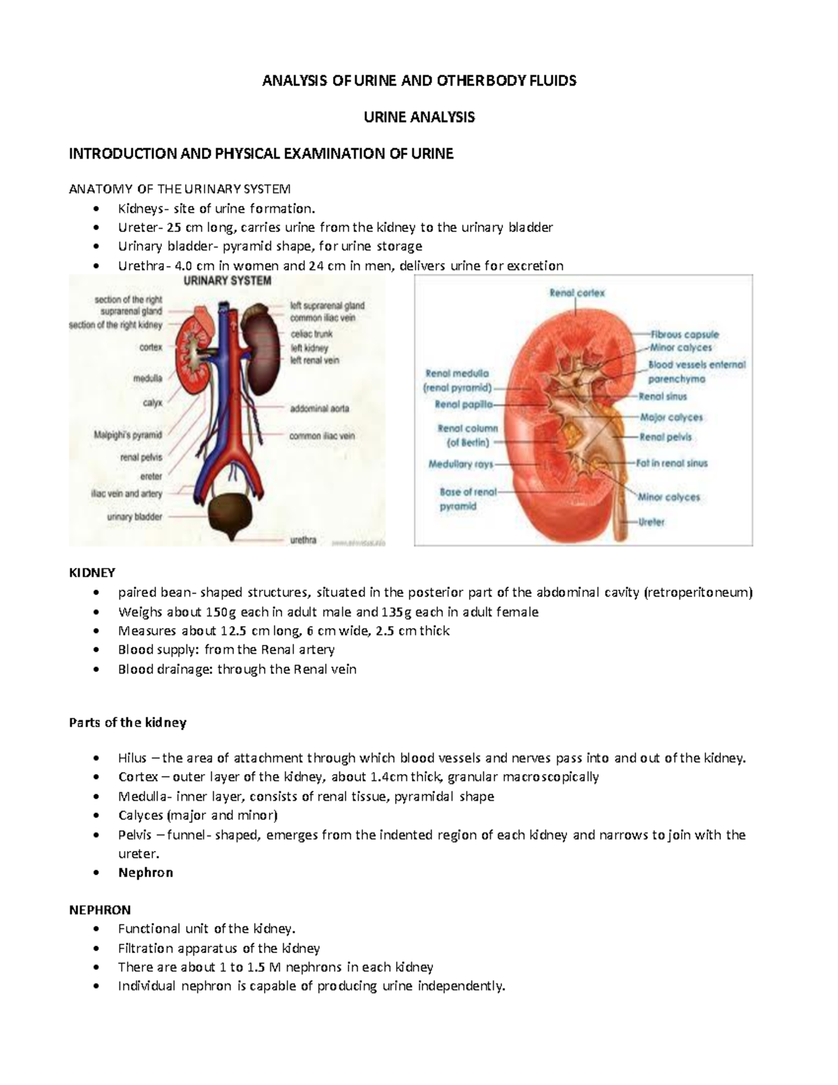 Urine Analysis: Physical Examination and Interpretation Techniques ...