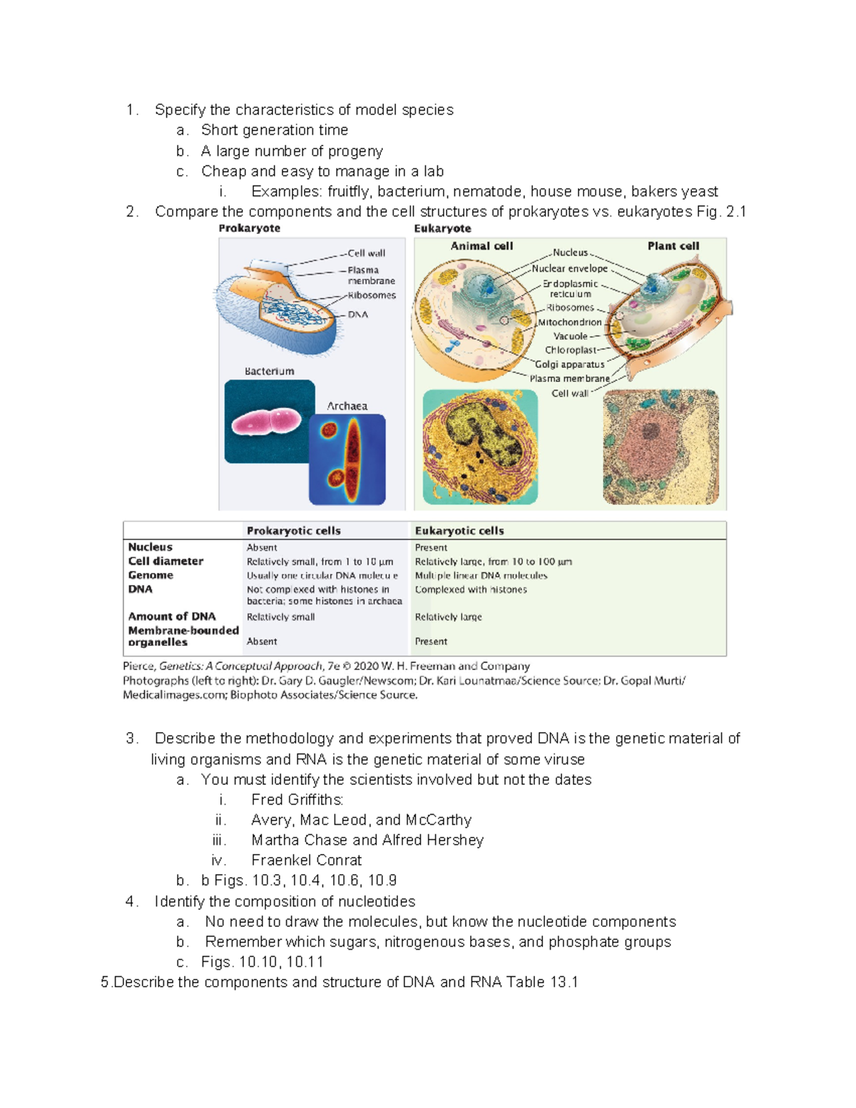 Genetic Exam #1 Study Guide - Specify the characteristics of model ...