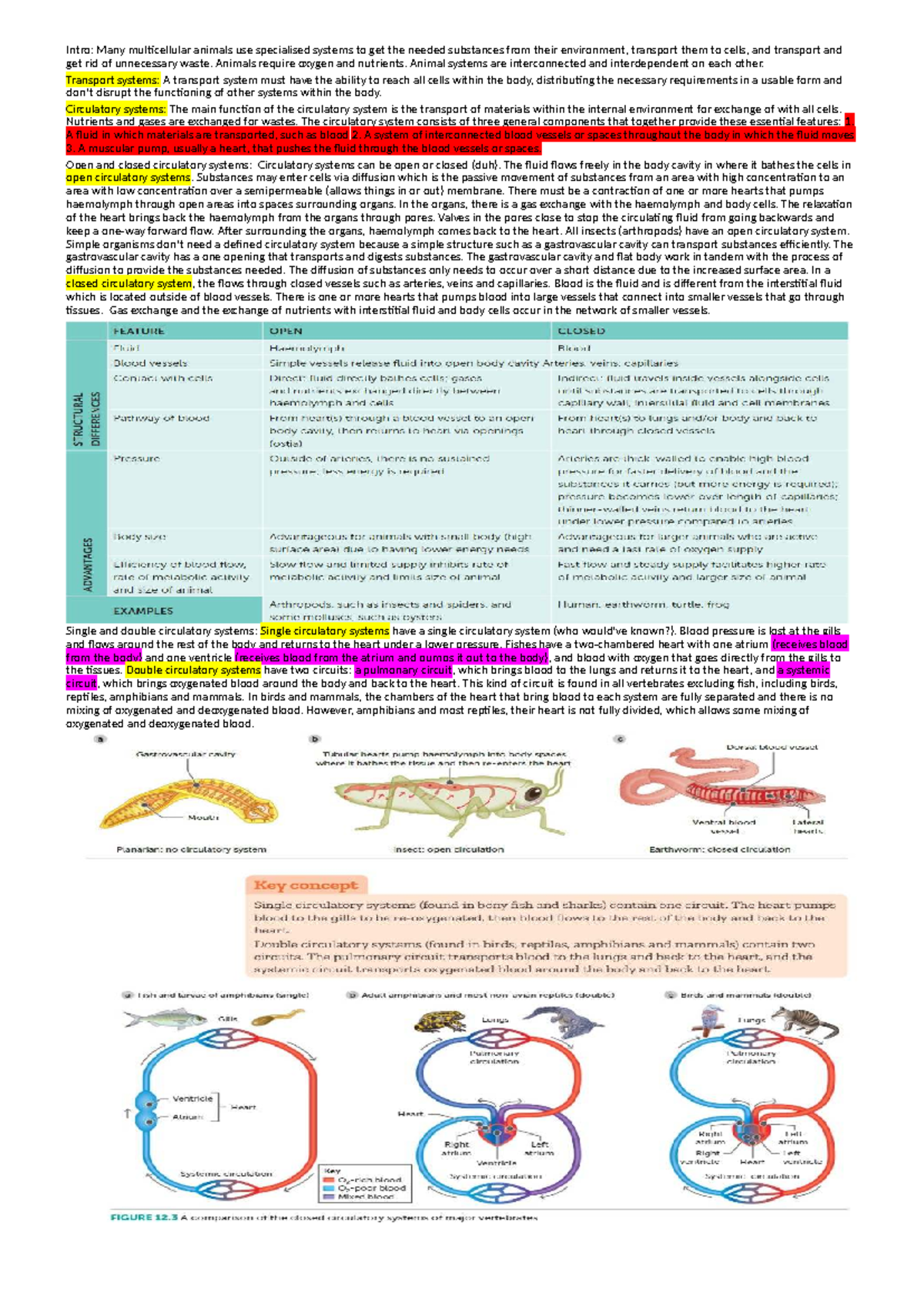 BIO 101: Overview of Animal and Plant Transport Systems - Studocu