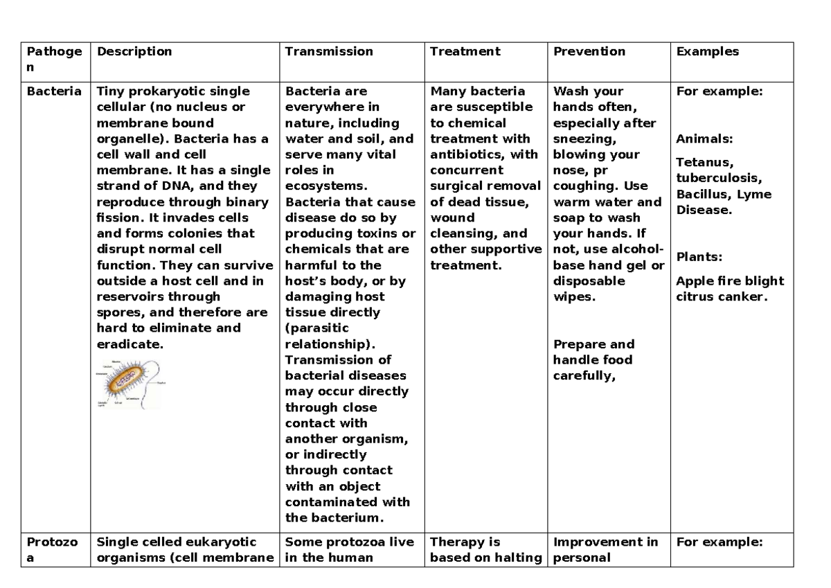Pathogens classification and case study notes - Pathoge n Description ...