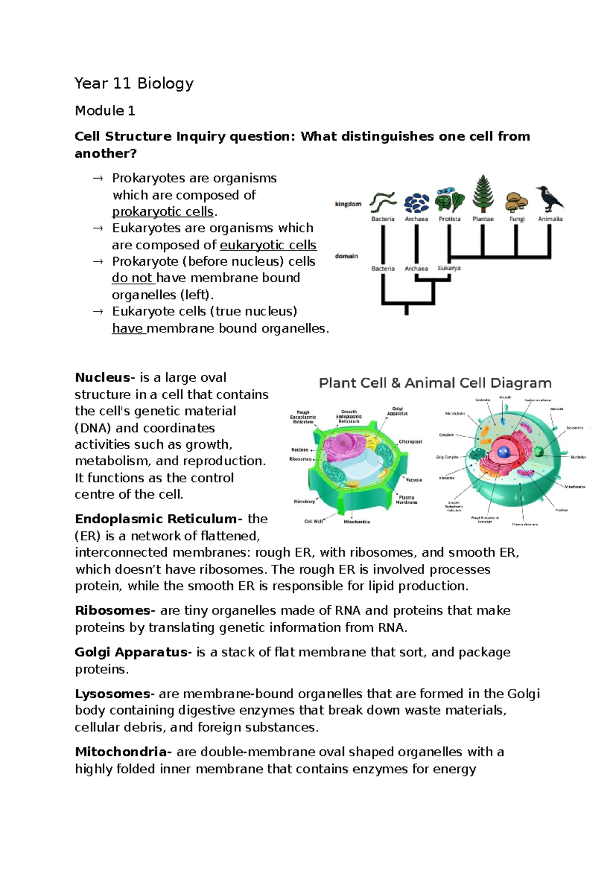 Year 11 Biology Module 1: Cell Structure and Function Notes - Studocu