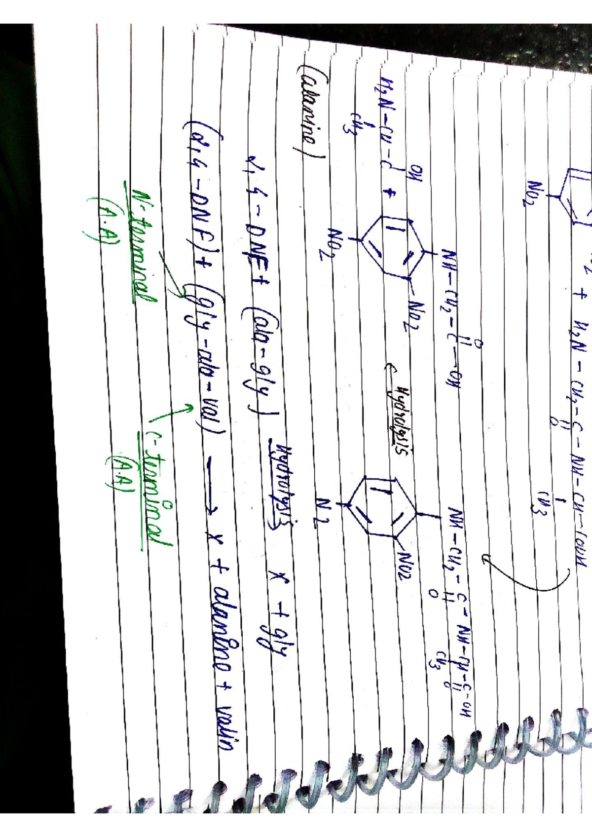 OC-imp2 - Hydrolysis and Polymer Chemistry Notes - Studocu