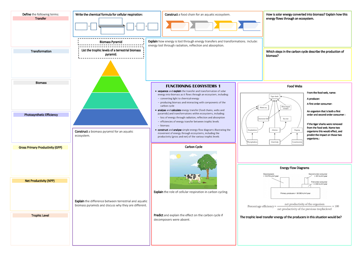 Unit 3 - Topic 2 - Study Notes on Ecosystems and Energy Flow - Studocu