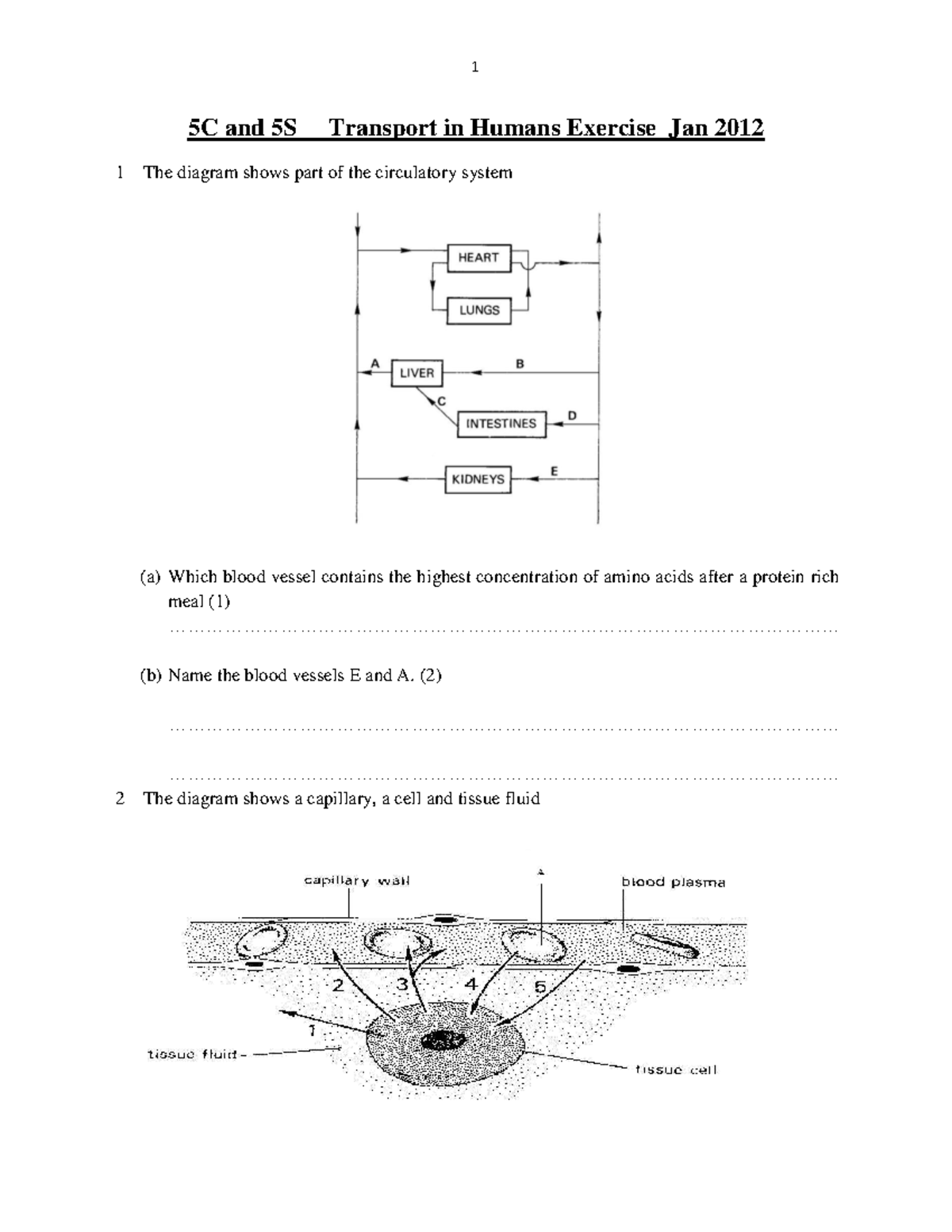 Double transport - Dual circulation of blood - 5C and 5S Transport in ...