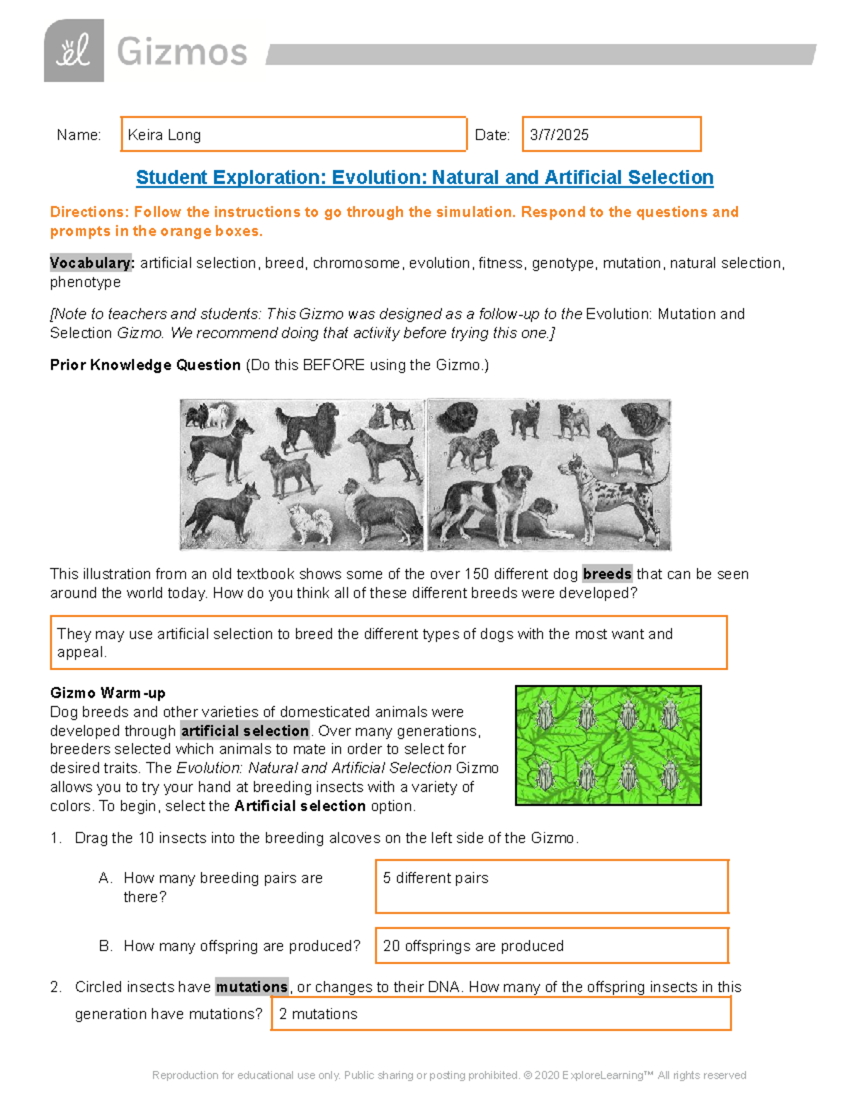 Exploring Evolution: Natural & Artificial Selection Gizmo (Bio 101 ...