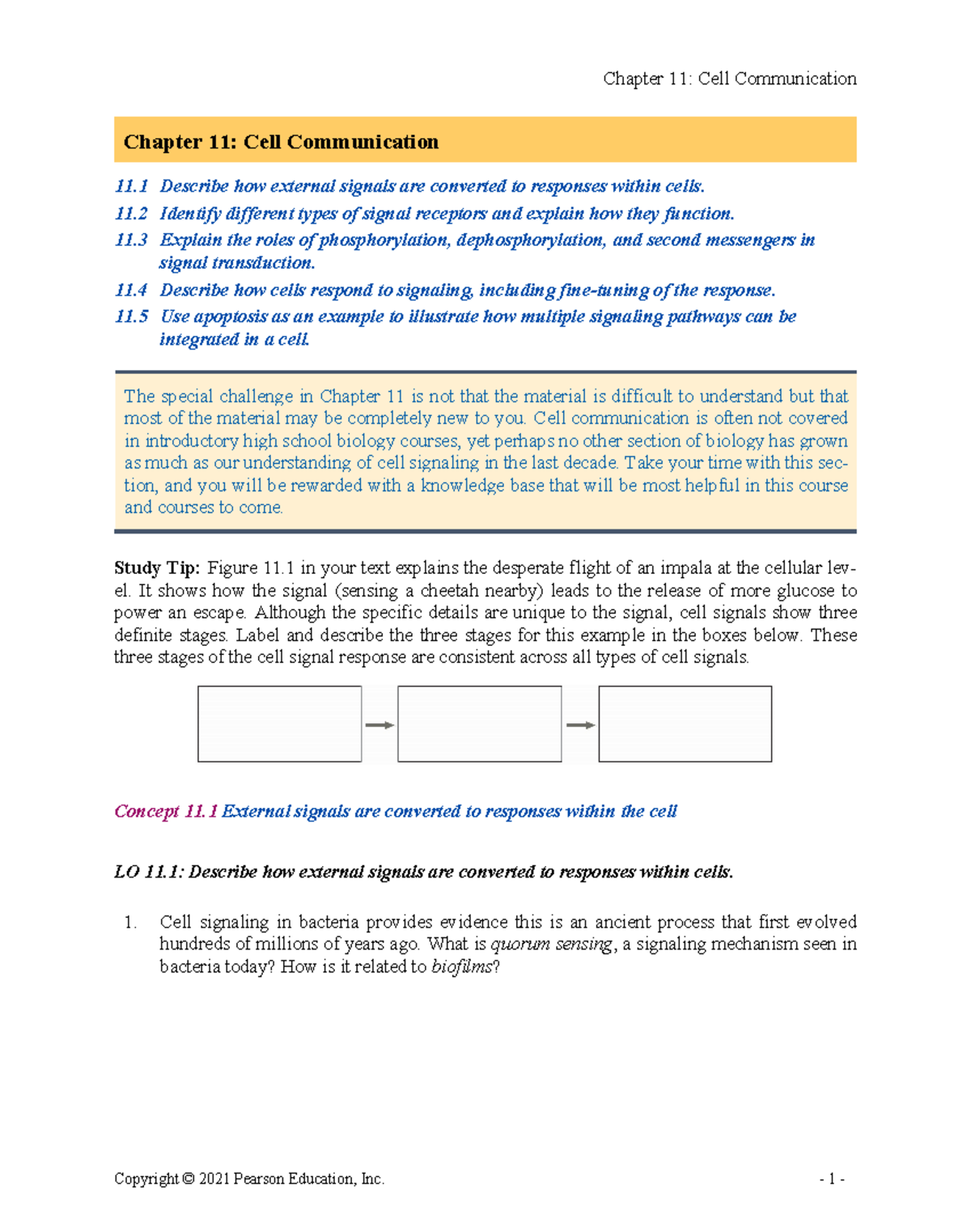 AP Bio Chapter 11 Reading Guide: Cell Communication & Signaling - Studocu