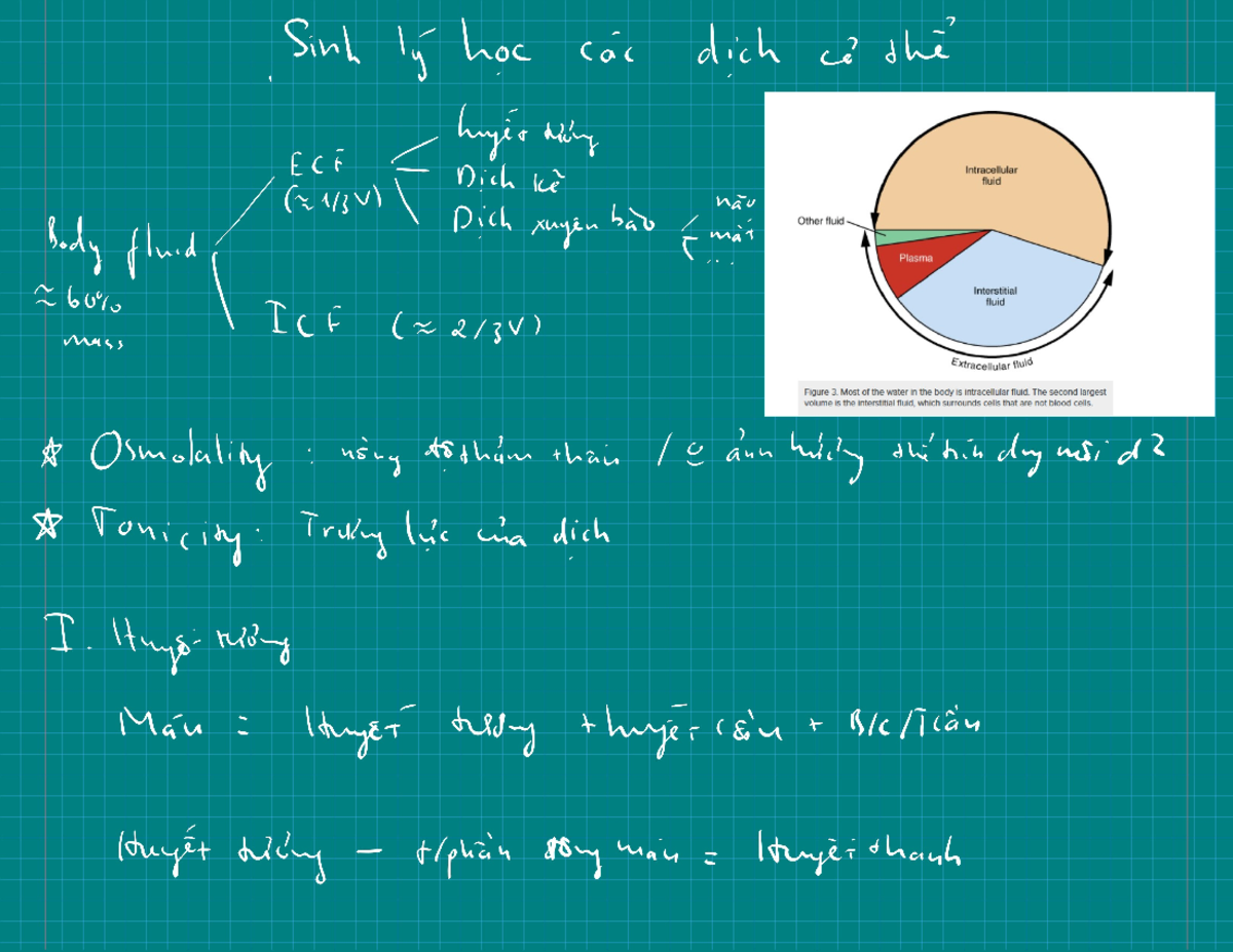 Body Fluids: Intracellular & Extracellular Fluid Dynamics (BIO 101 ...