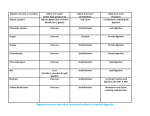 KEY AP Biology Unit 3 Cellular Energetics - Unit 3: Cellular Energetics ...