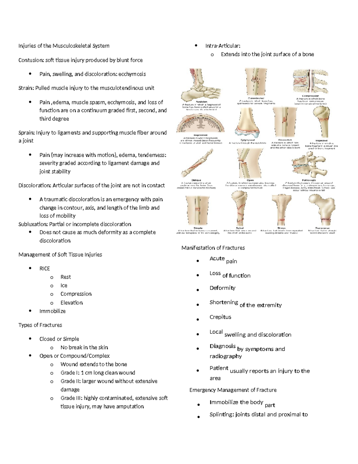 Injuries and Management of the Musculoskeletal System: Key Insights ...