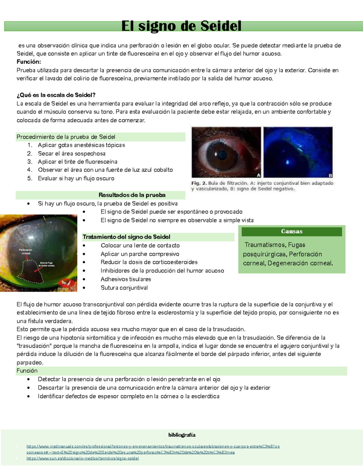 Signo de Seidel: Evaluación y Procedimiento Clínico del Signo Ocular ...