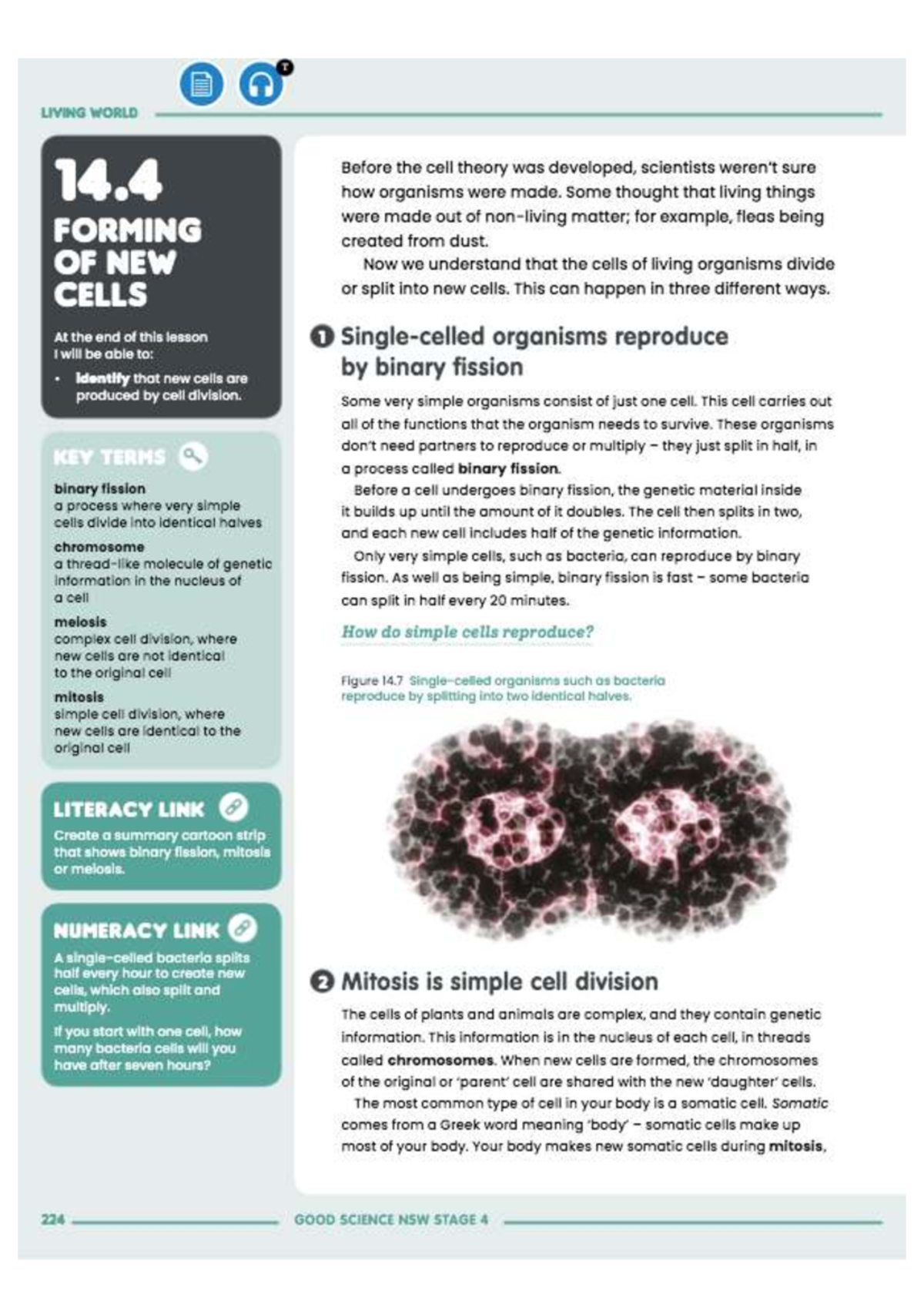 Good Science NSW Stage 4: Ch14.4 Forming New Cells - Cell Division ...