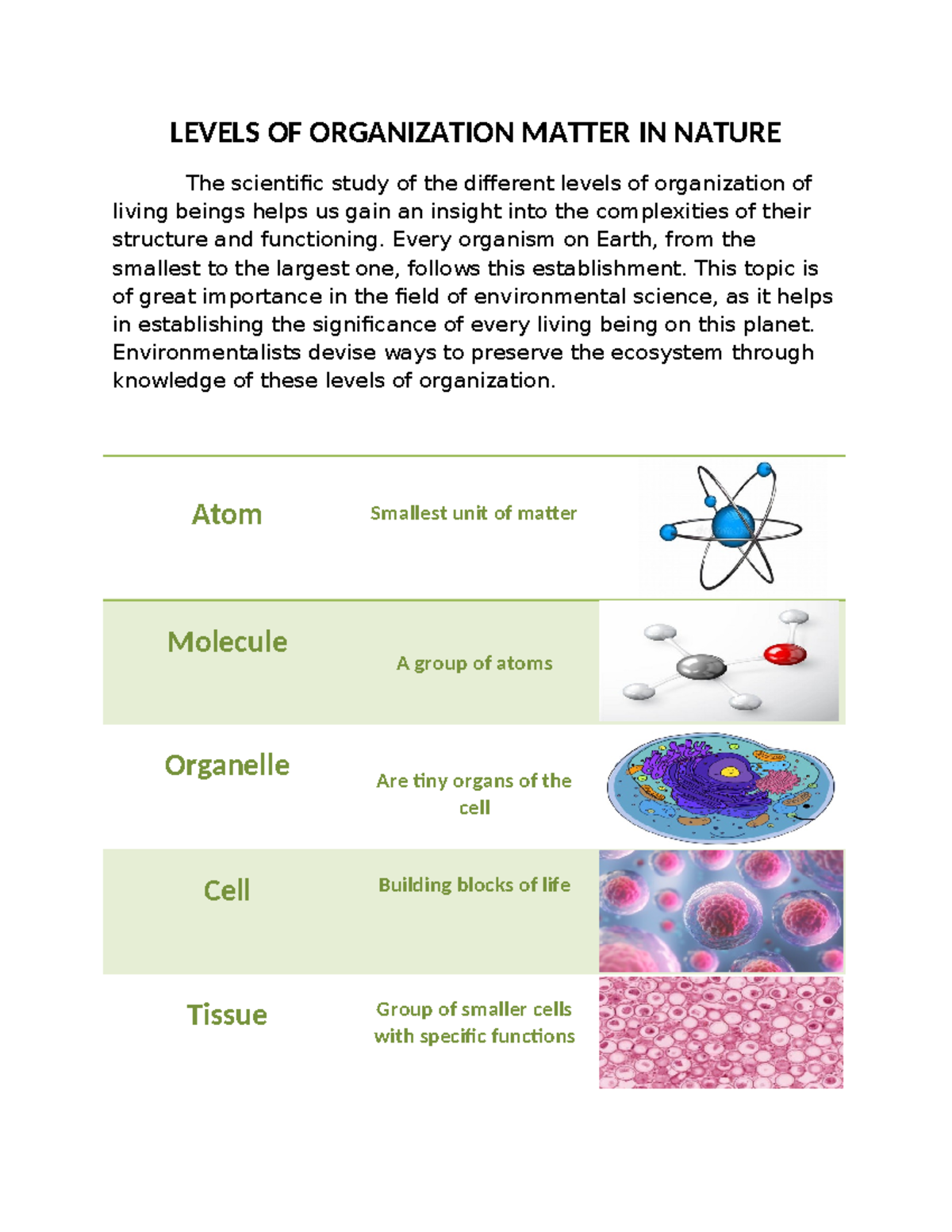 4.4 Levels of Organization of Matter in Nature: An Overview - Studocu