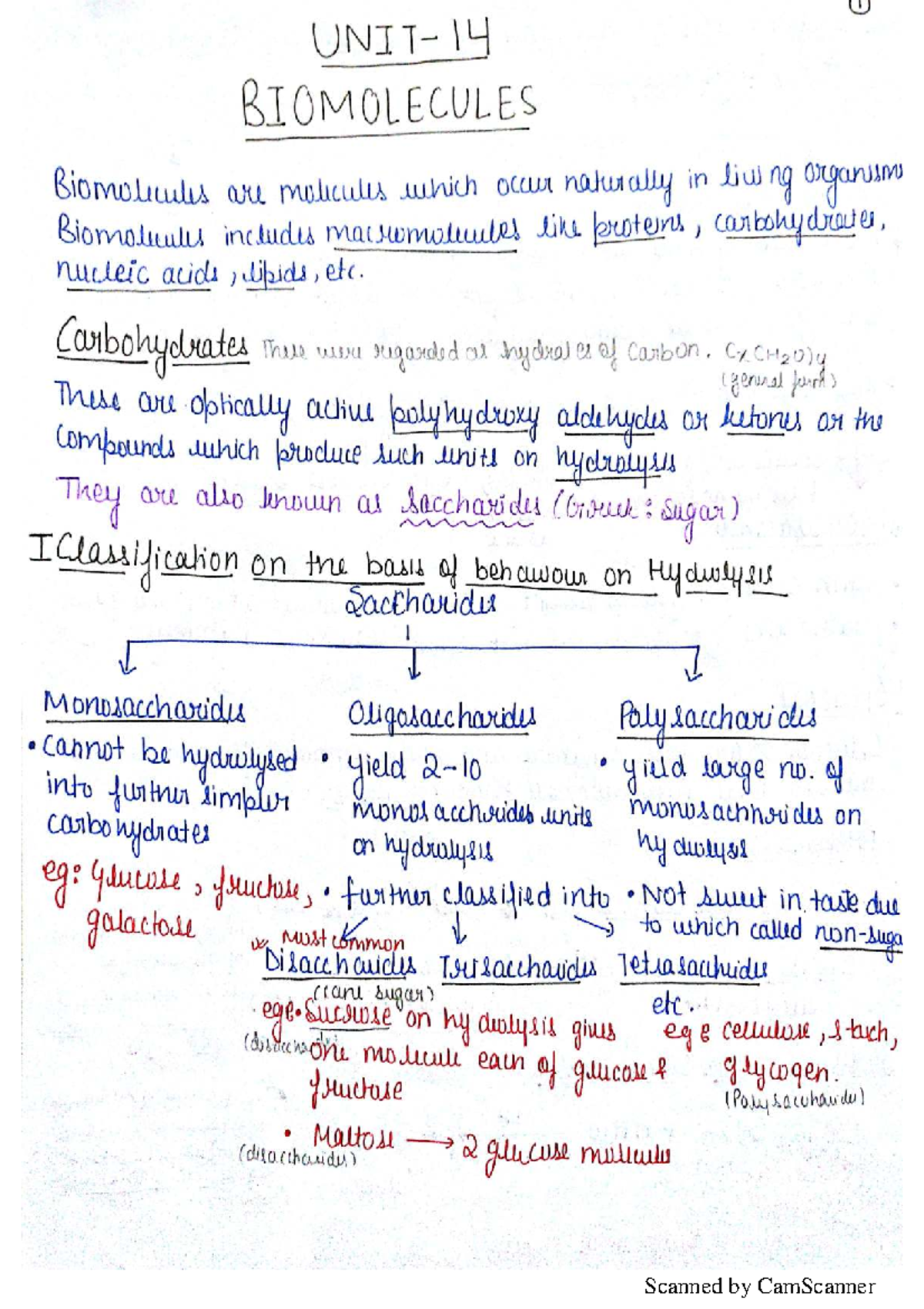 Biomolecules 2: Comprehensive Notes on Carbohydrates, Proteins, and ...
