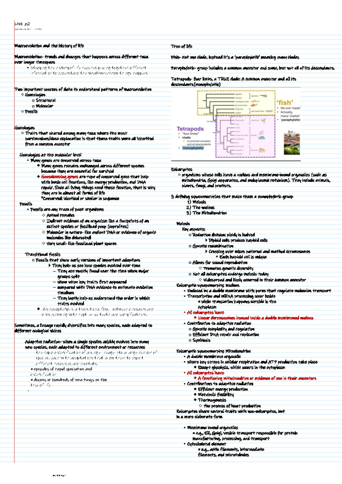 Unit p2 - Macroevolution and the Tree of Life Overview - Studocu