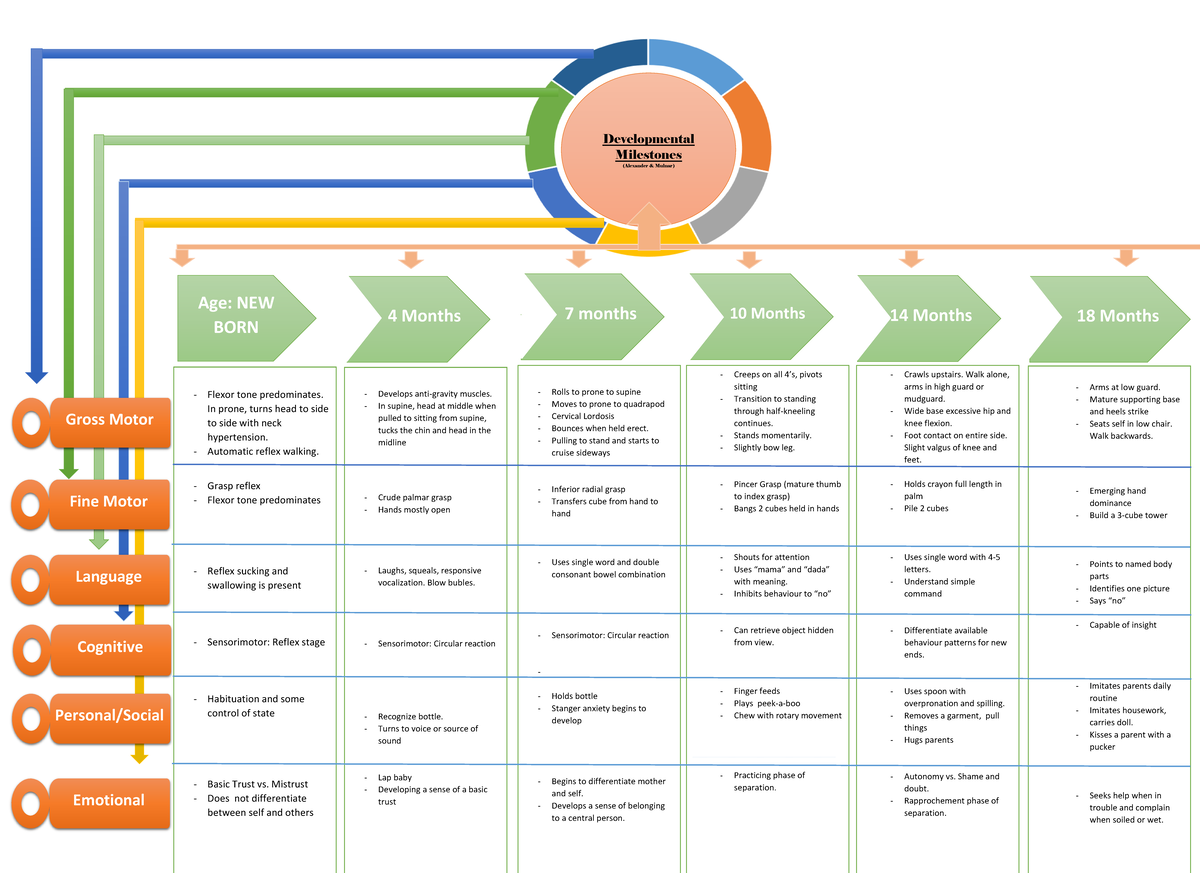 Developmental milestonse concept map - Developmental Milestones ...