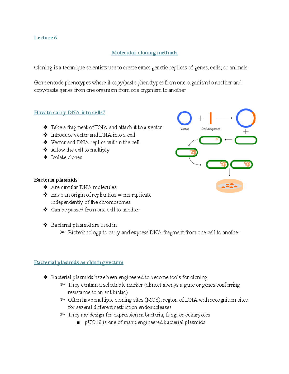 BIOL 367 - Lecture 6: Essential Molecular Cloning Techniques Overview ...