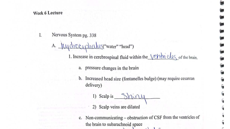 Week 6 Lecture 1: Nervous System Overview and Key Concepts - Studocu