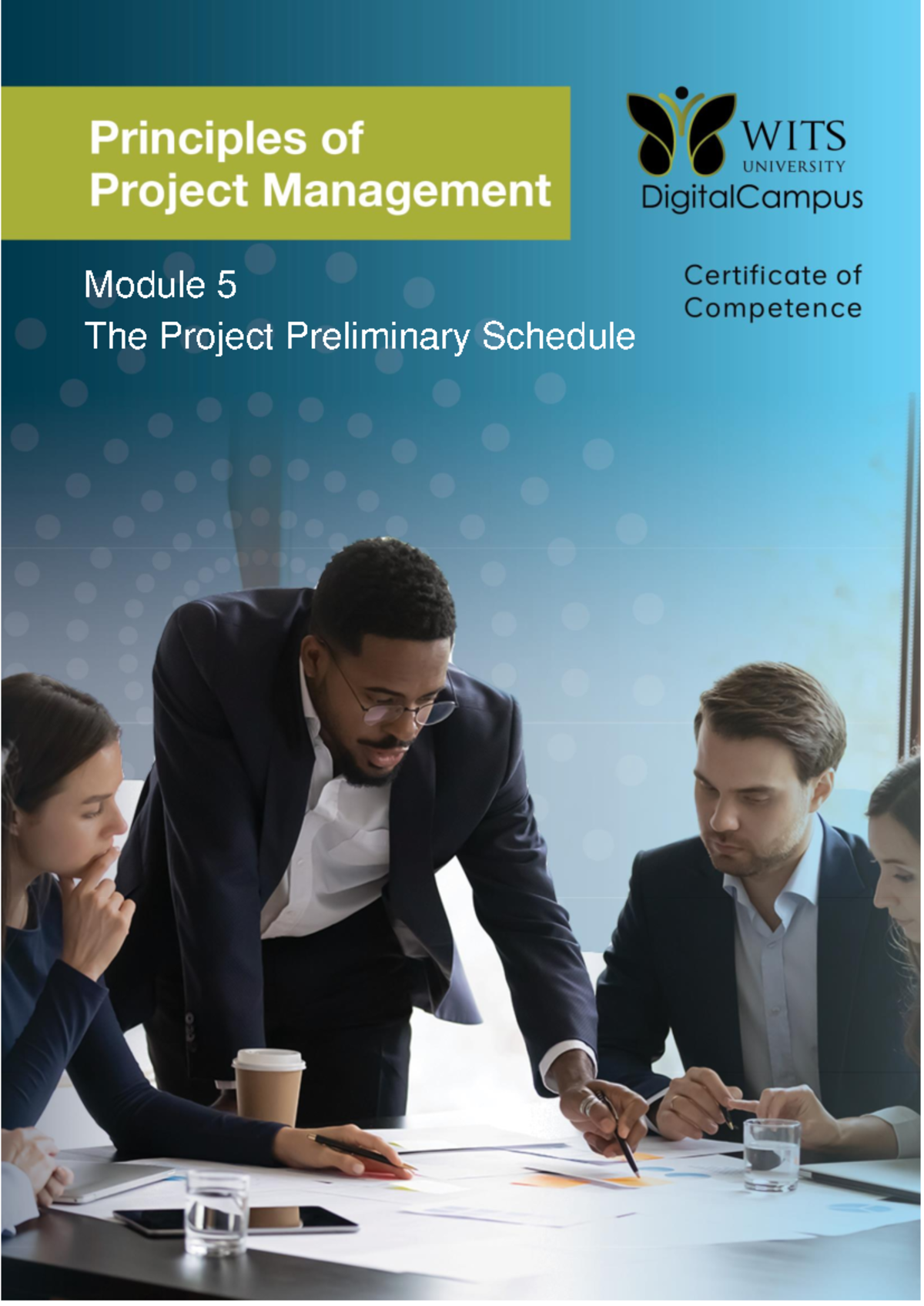 Project Management Principles: Module 5 - Developing the Preliminary ...