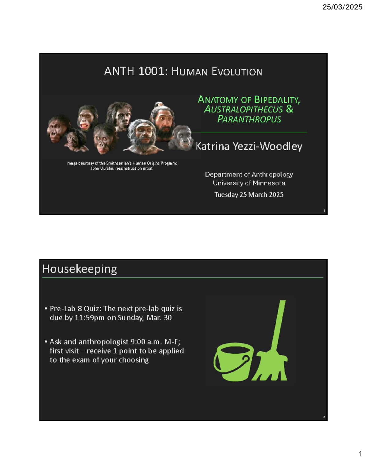 ANATOMY OF BIPEDALISM IN AUSTRALOPITHECUS & PARANTHROPUS (ANTH 1001 ...