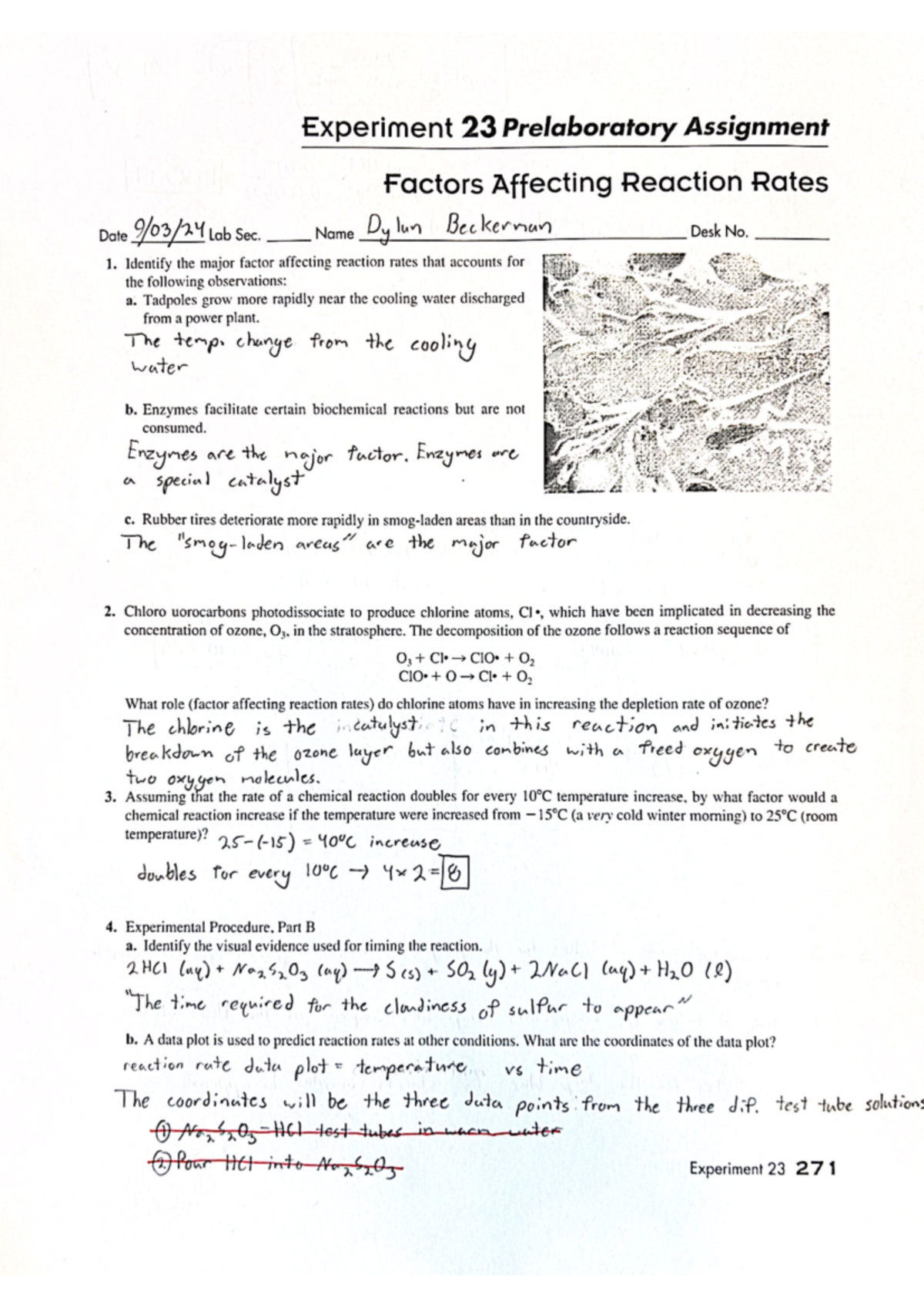 CHEM 101: Experiment 23 Prelab on Factors Affecting Reaction Rates ...