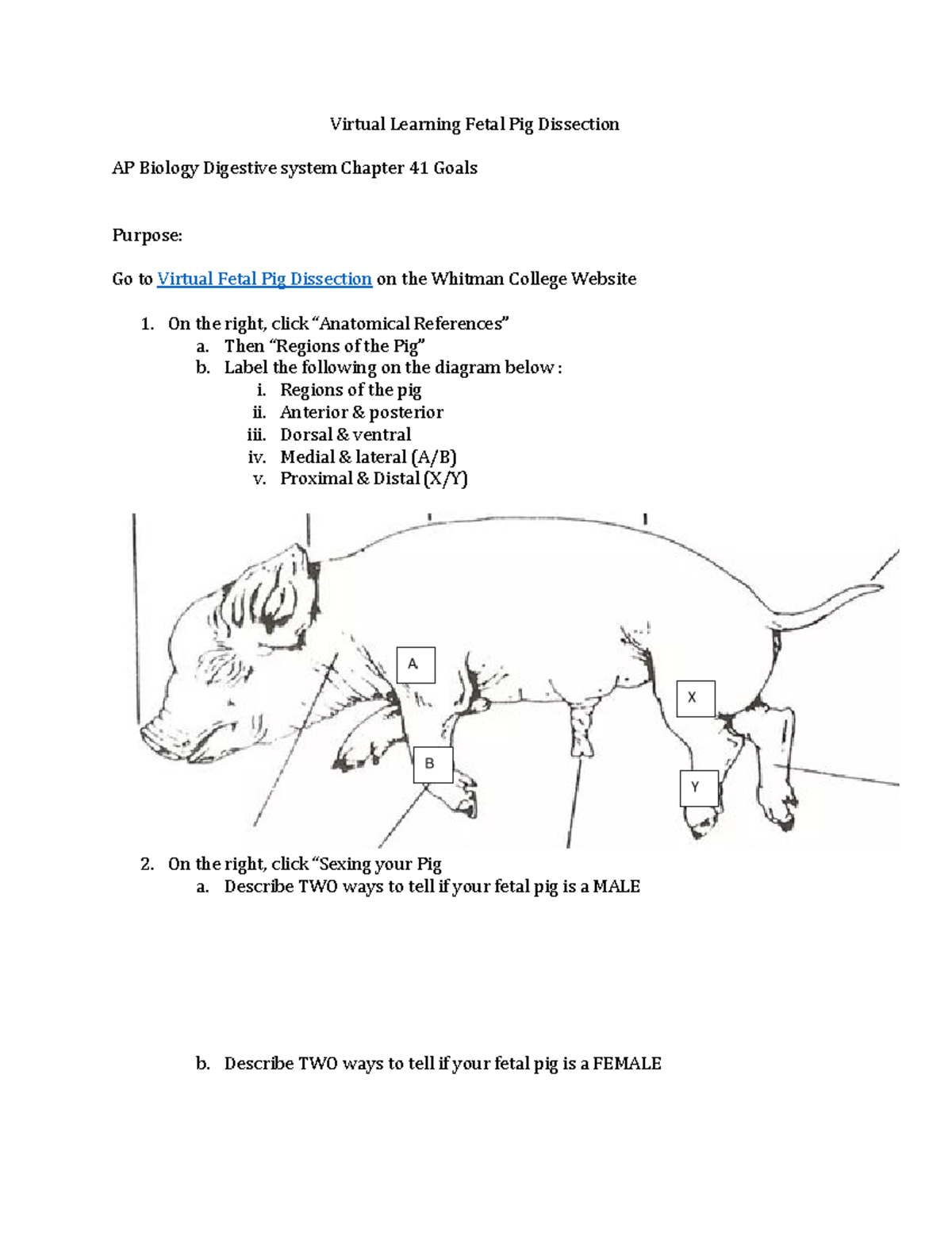 Virtual Learning Fetal Pig Dissection 2020 - Then “Regions of the Pig ...