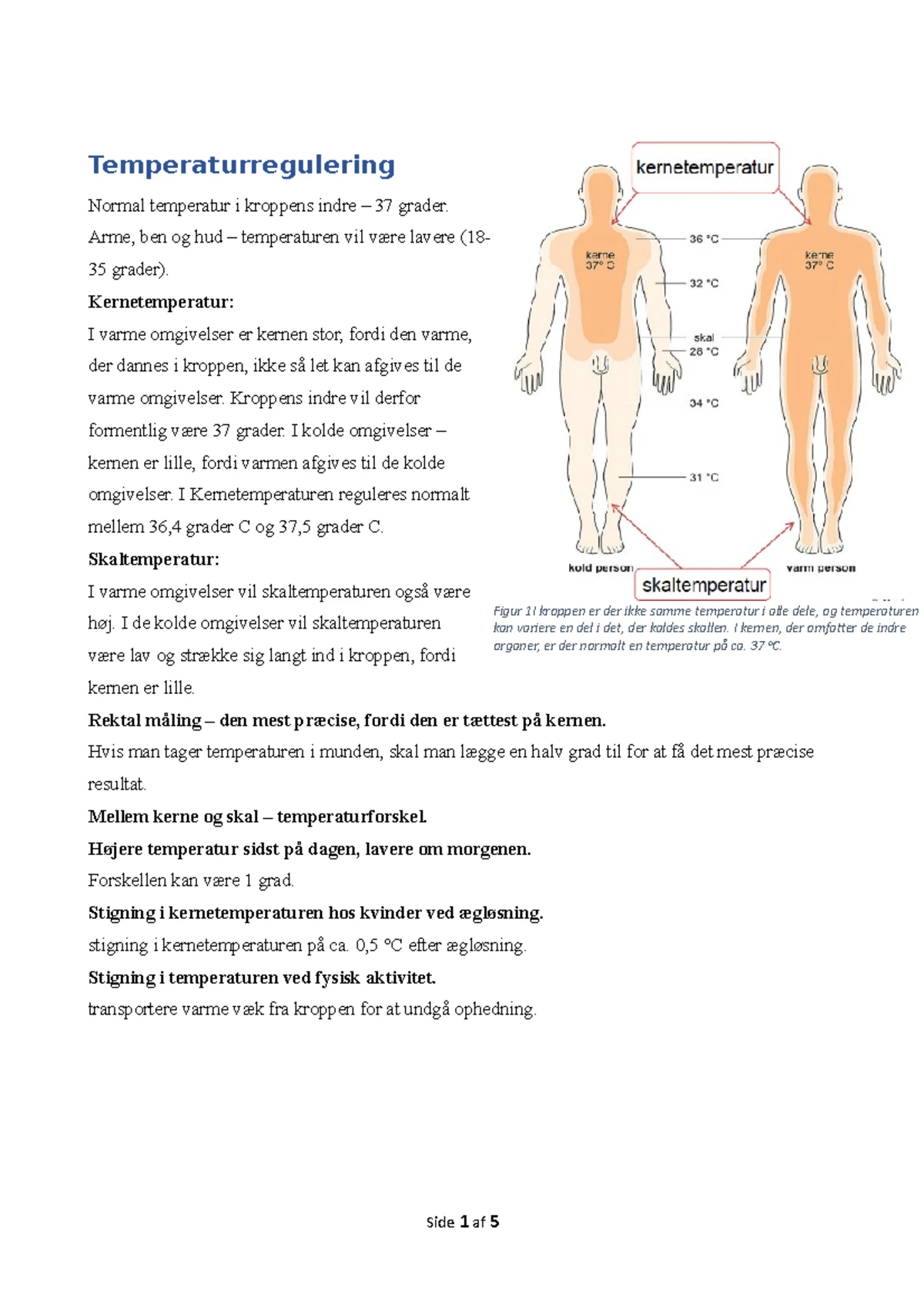 KROB modellen - Vidensformer - KROB-modellen: - klinisk refleksion ...