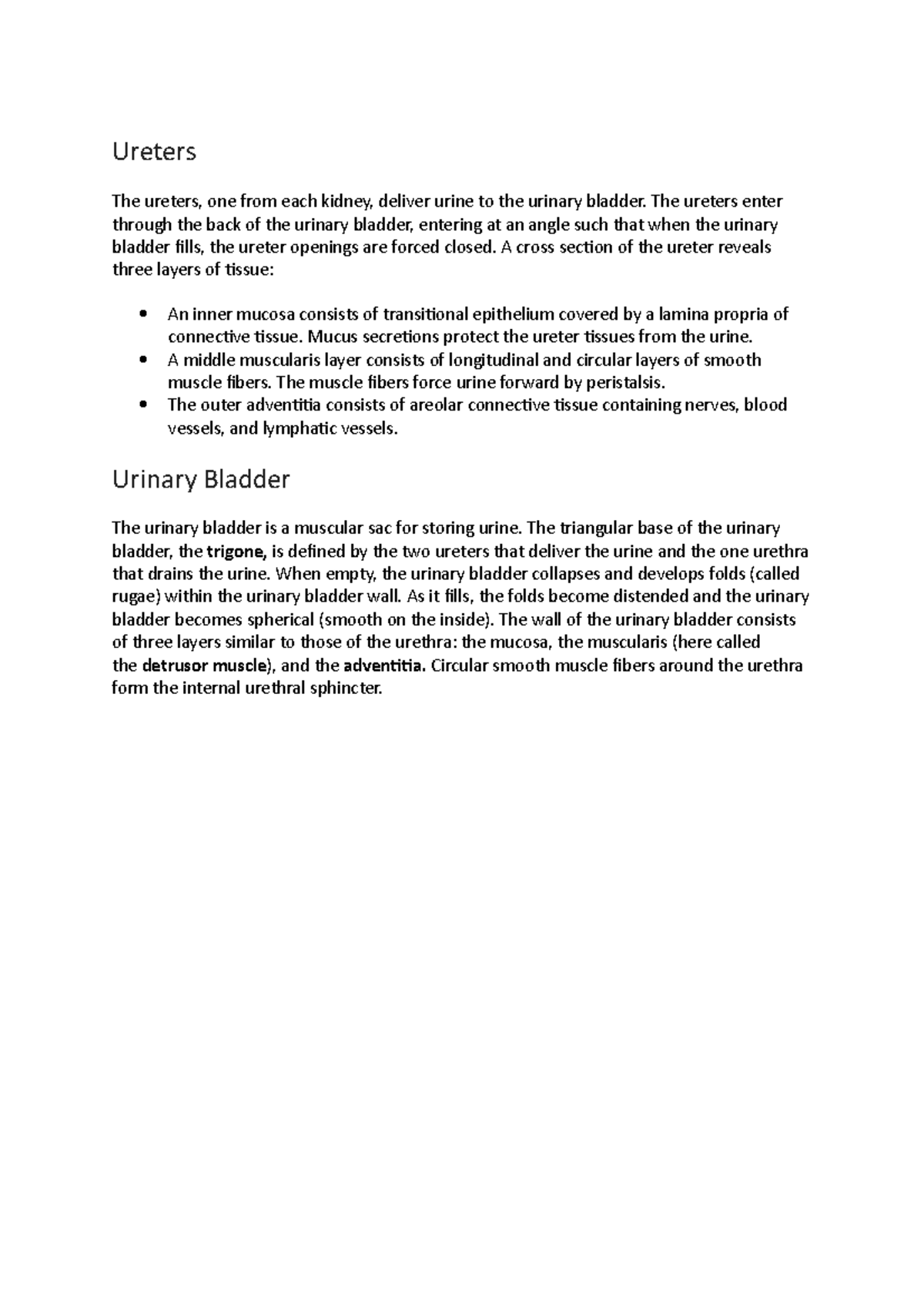 ANAT 101: Ureters and Urinary Bladder Overview and Functions - Studocu
