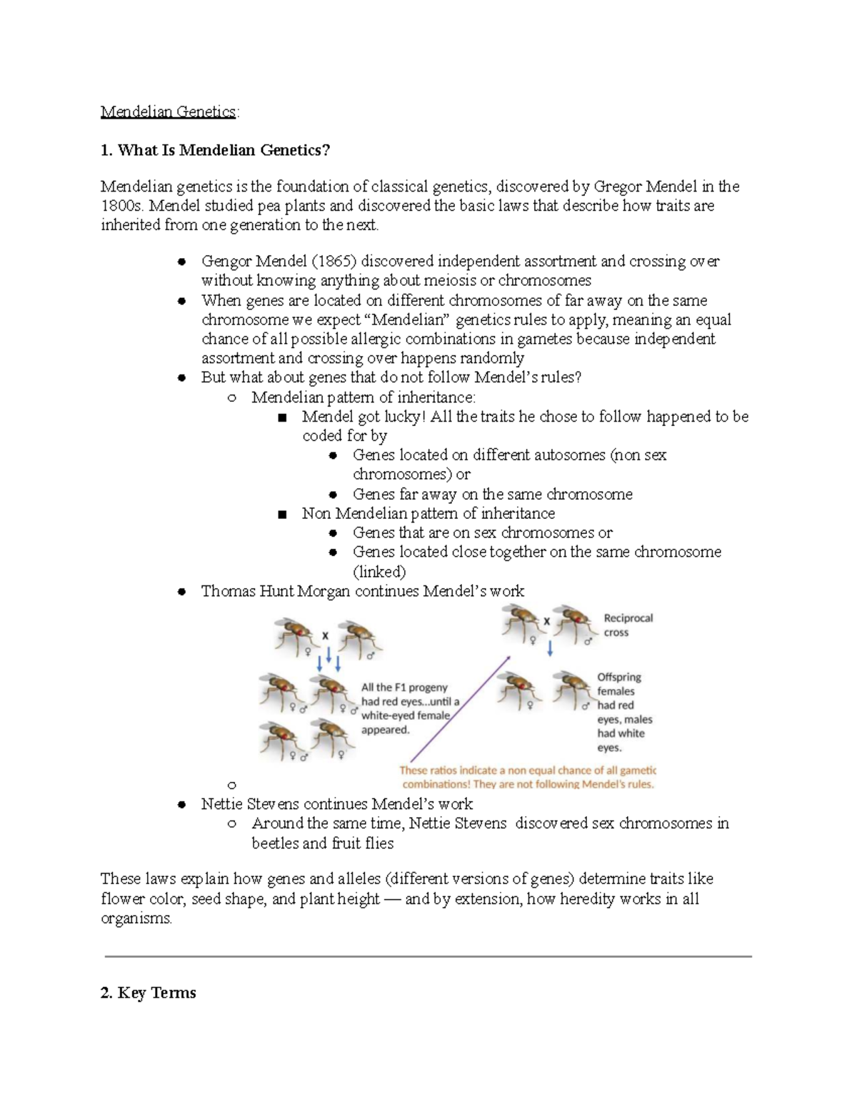 Bio 3 Exam Study Sheet: Mendelian Genetics Overview - Studocu