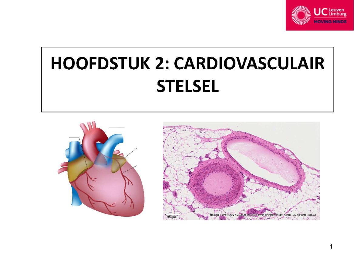 HOOFDSTUK 2: OVERZICHT VAN HART ANATOMIE EN FYSIOLOGIE (H2) - Studocu