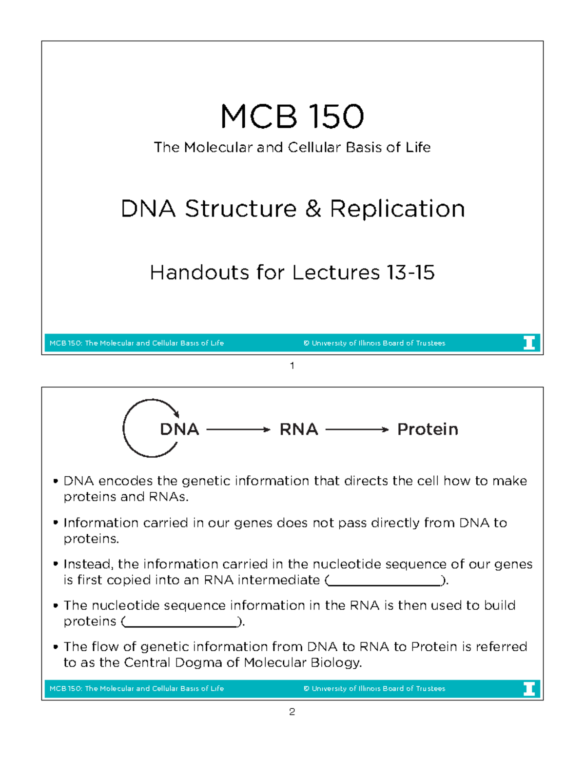 Handouts for MCB 150: DNA Structure, Replication & Chromatin Overview ...