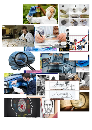 El Manual Del Juez Hans Gross Libro El Manual Del