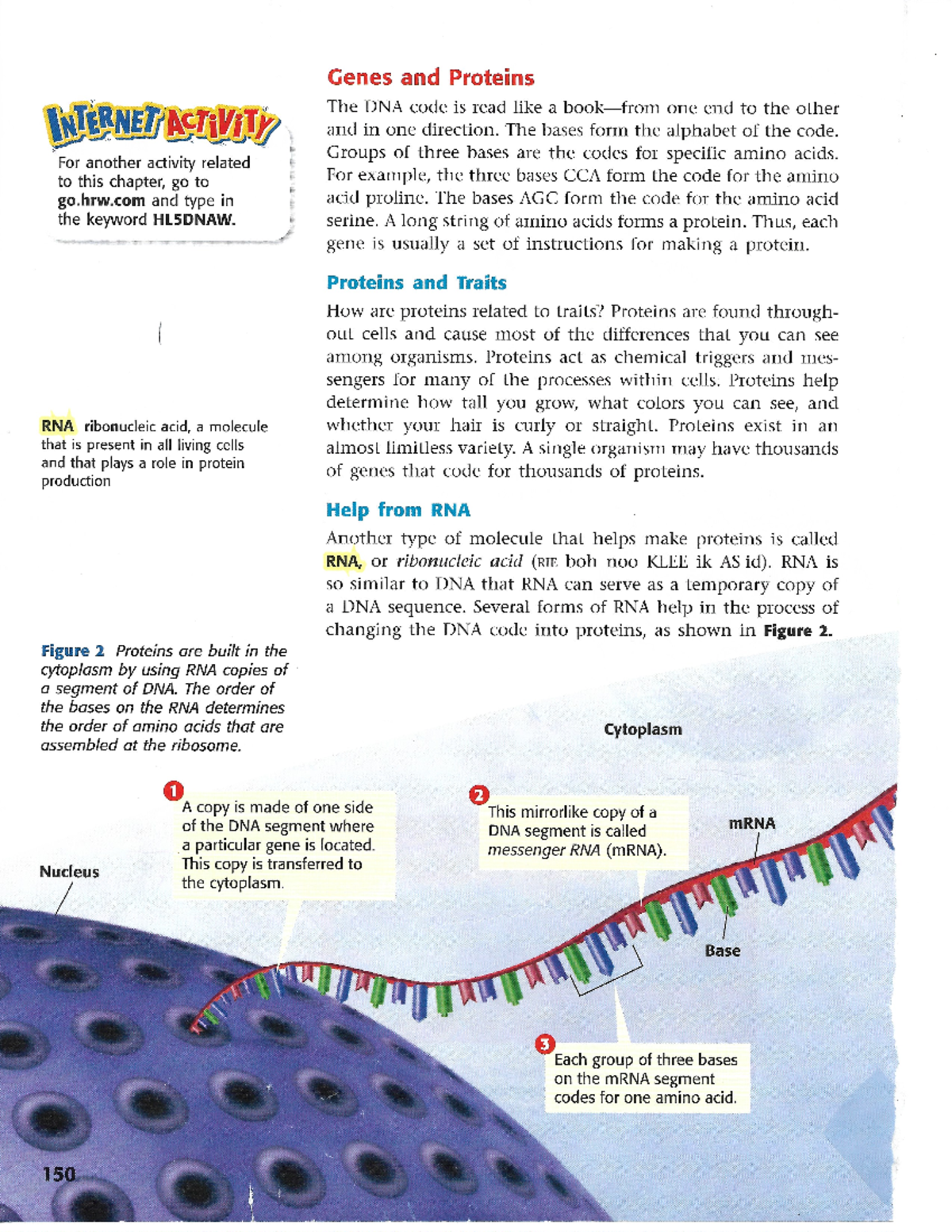 Final Exam Study Guide for Psychology 101: Key Concepts & Theories - Genes and Proteins The DNA ...