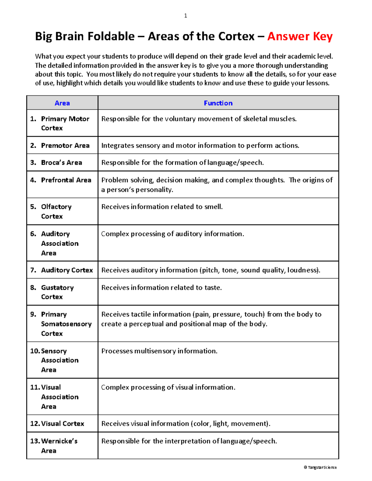 Big Brain Foldable: Areas of the Cortex - Answer Key for Students - Studocu